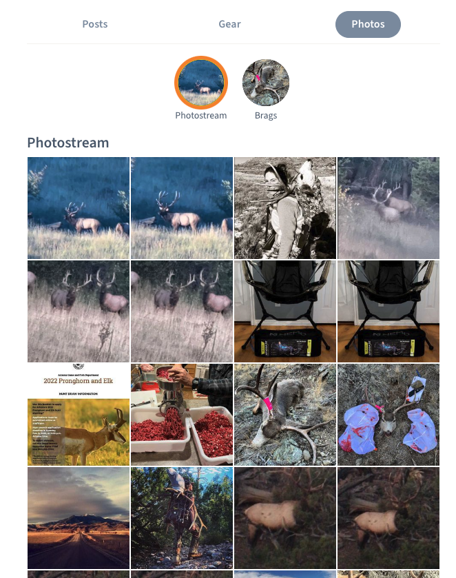 How do I navigate and customize my Guidefitter profile? – Guidefitter